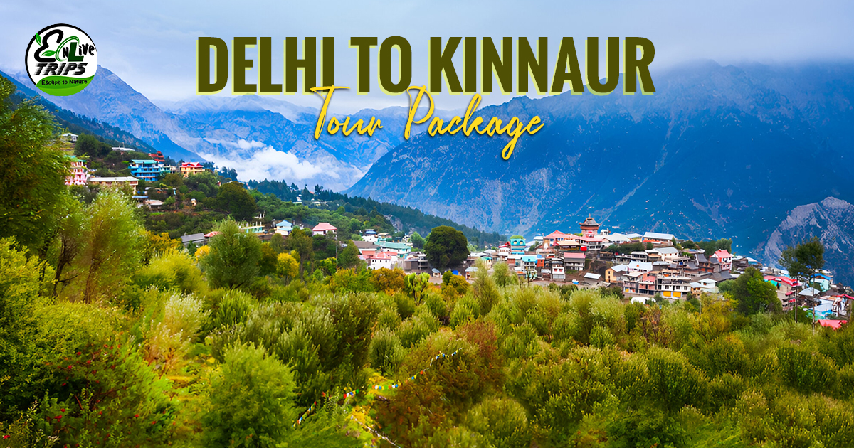 Best Time To Visit Chitkul, Kalpa, Sangla | Kinnaur Valley Travel Guide