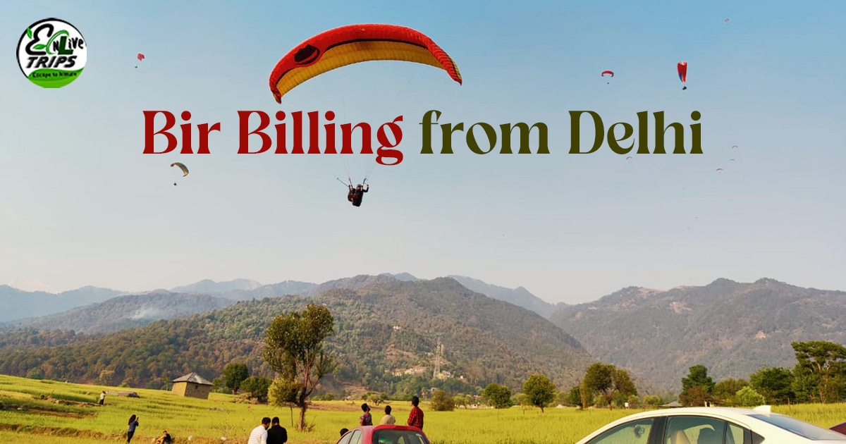 bir billing tour packages